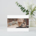 Godward - Mischief and Repose Postcard | Zazzle