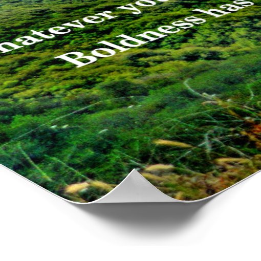 Goethe Quote Poster | Zazzle