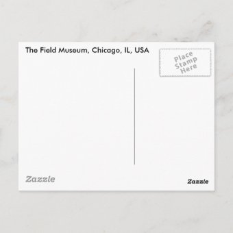 Going to the Field Museum Postcard | Zazzle