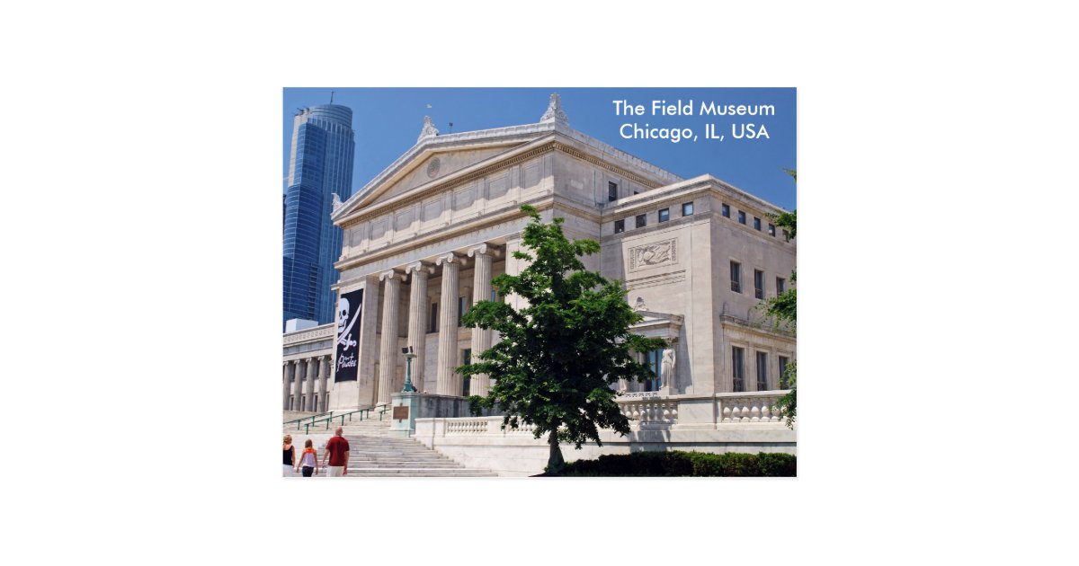 Going to the Field Museum Postcard | Zazzle.com