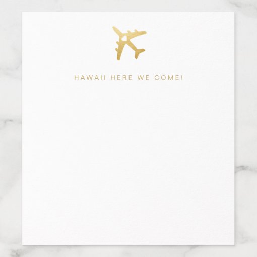 Gold Airplane Travel Theme Envelope Liner | Zazzle