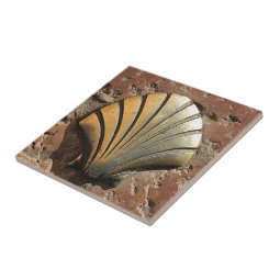 Gold El Camino shell sign, pavement, Leon, Spain Ceramic Tile | Zazzle