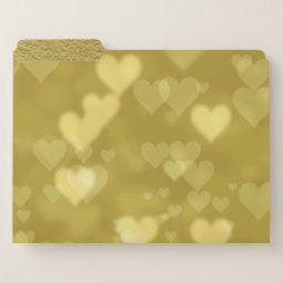 Gold Foil Set File Folder | Zazzle