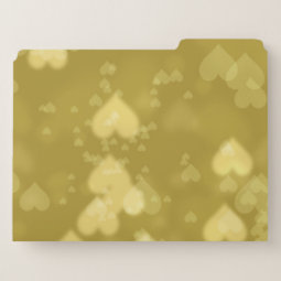 Gold Foil Set File Folder | Zazzle