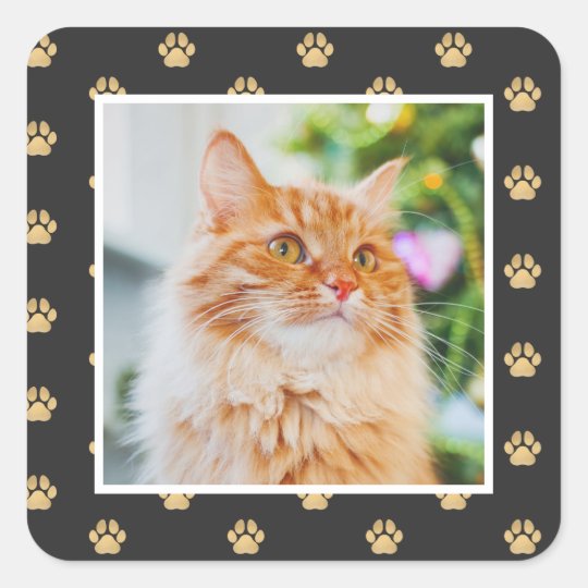 Gold Pet Cat Paw Prints Pattern Holiday Photo Square Sticker | Zazzle.com