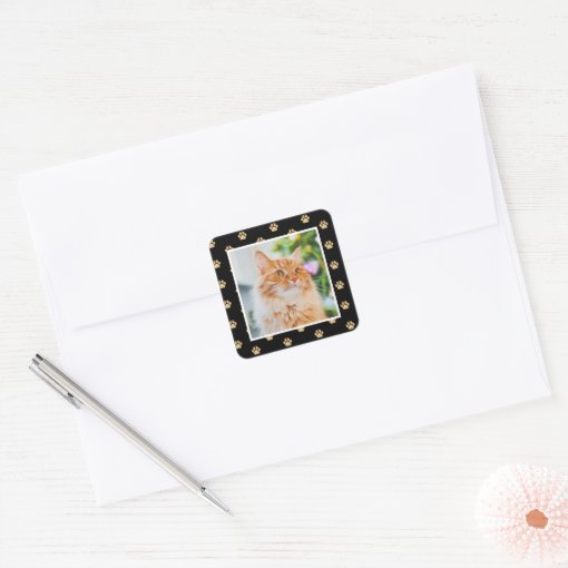 Gold Pet Cat Paw Prints Pattern Holiday Photo Square Sticker | Zazzle
