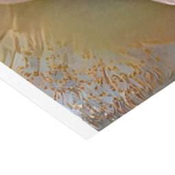 Gold Silk Beautiful Unique Rose Art Dream Tissue Paper | Zazzle