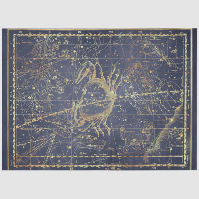 Gold Star Map Series Design 15 Tissue Paper | Zazzle