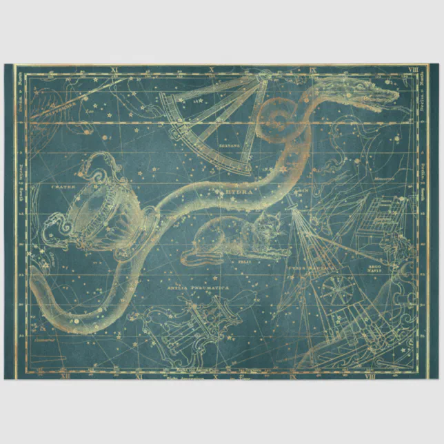 Gold Star Map Series Design 24 Tissue Paper | Zazzle