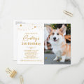 Gold Stars Personalized Pet Photo Dog Birthday Invitation Postcard | Zazzle