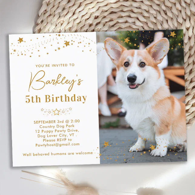 Gold Stars Personalized Pet Photo Dog Birthday Invitation Postcard | Zazzle