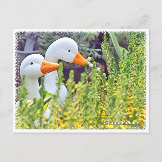 Golden Cracker Postcard | Zazzle