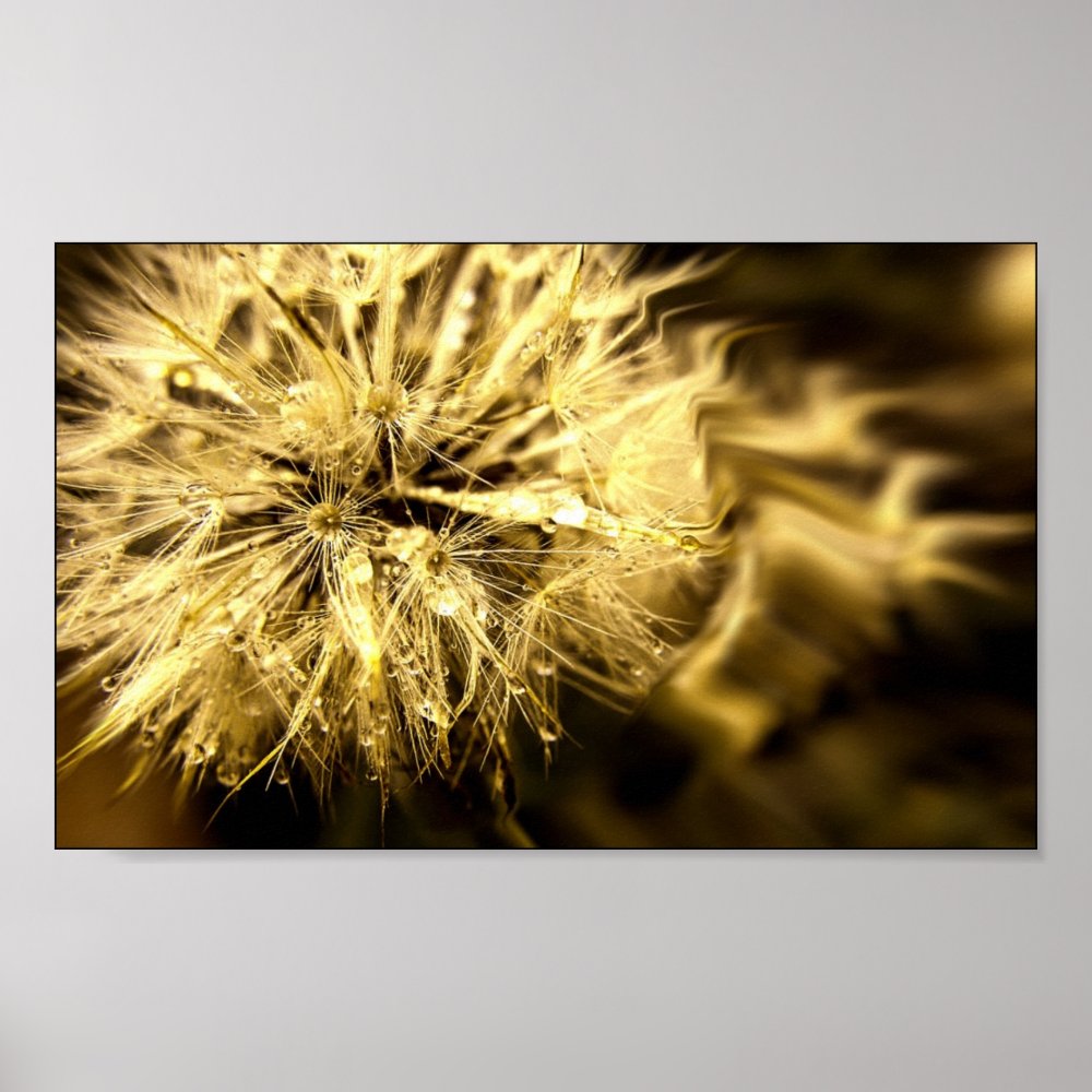 Golden Dandy Dreams Poster - Snuggle Hamster Designs