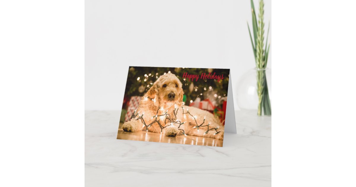 Golden Doodle Holiday Christmas Card | Zazzle