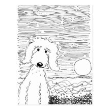 Ellie_Doodle: Designs & Collections on Zazzle