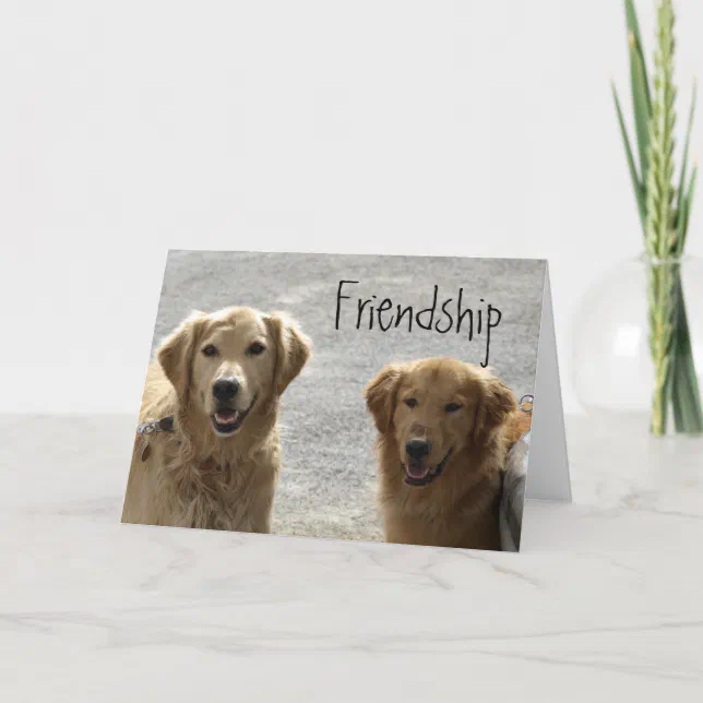 Golden Lab Friends Card | Zazzle
