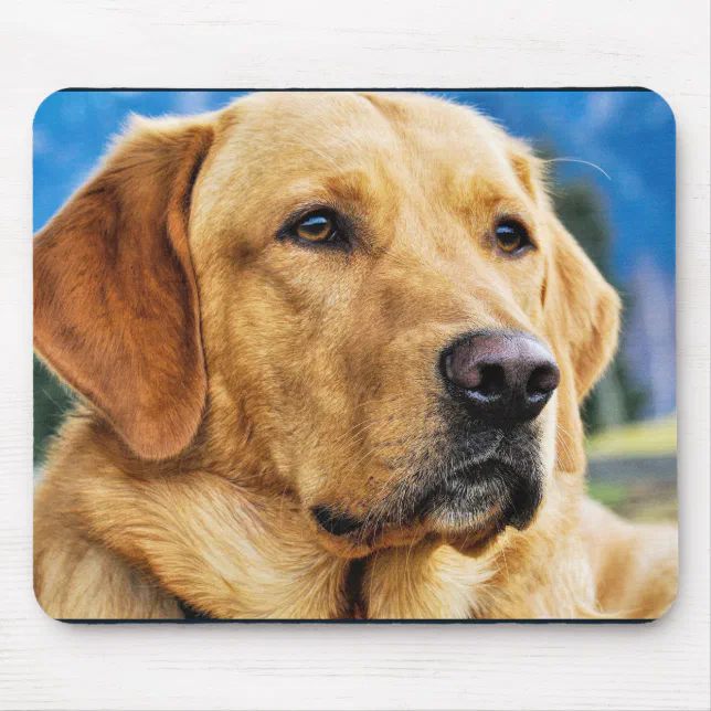 Golden Labrador Retriever Mouse Pad | Zazzle