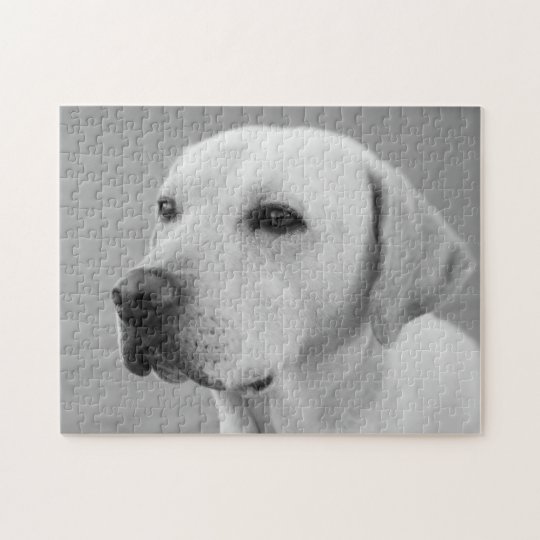 Golden Labrador Retriever Photograph | BW Jigsaw Puzzle | Zazzle.com