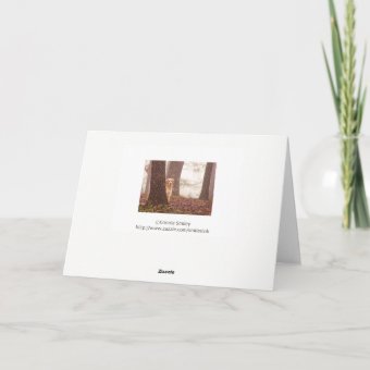 Golden Light Sympathy Card | Zazzle