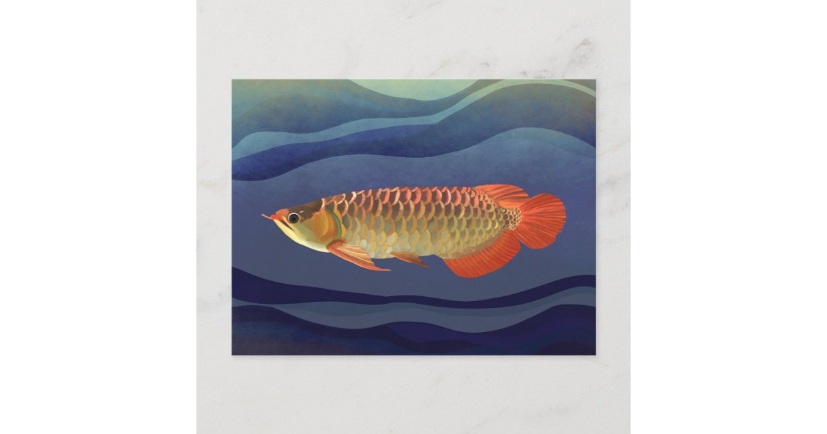 Golden Orange Arowana Fish Exquisite Aquatic Postcard | Zazzle