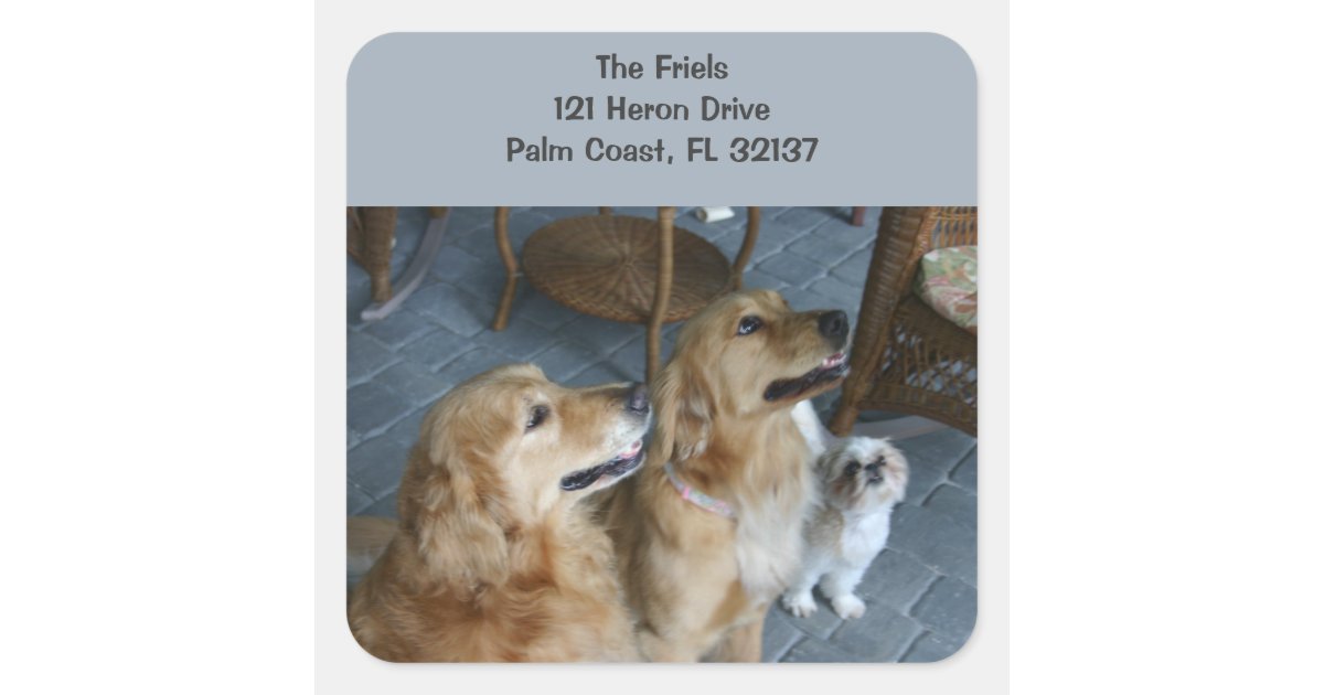 Golden Retriever Address Sticker | Zazzle