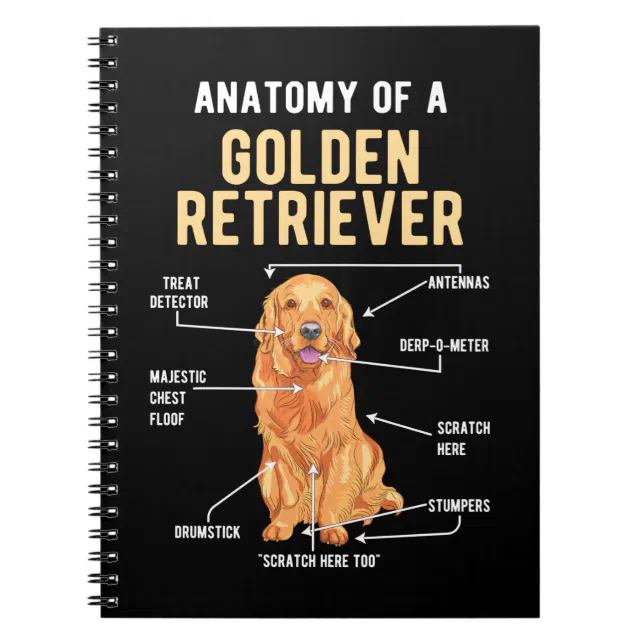 Golden Retriever Anatomy Funny Dog Notebook | Zazzle