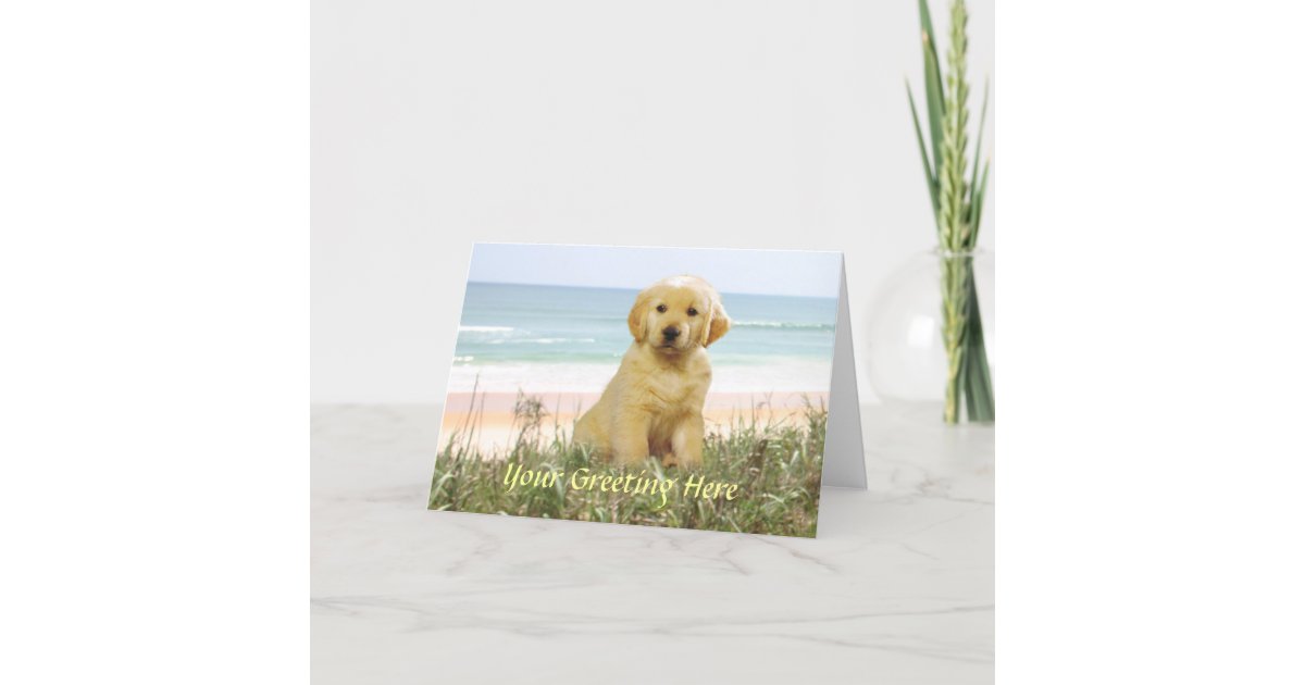 Golden Retriever Card | Zazzle