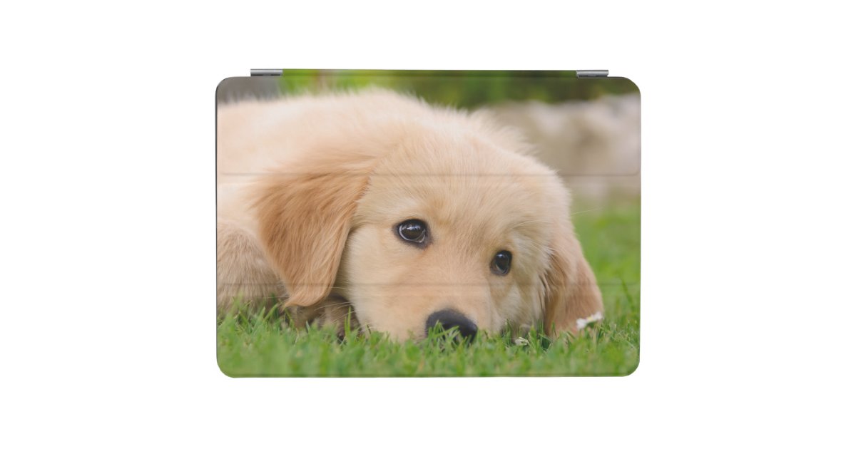 Golden Retriever Cute Puppy Dreaming, Gadget-Cover iPad Air Cover | Zazzle