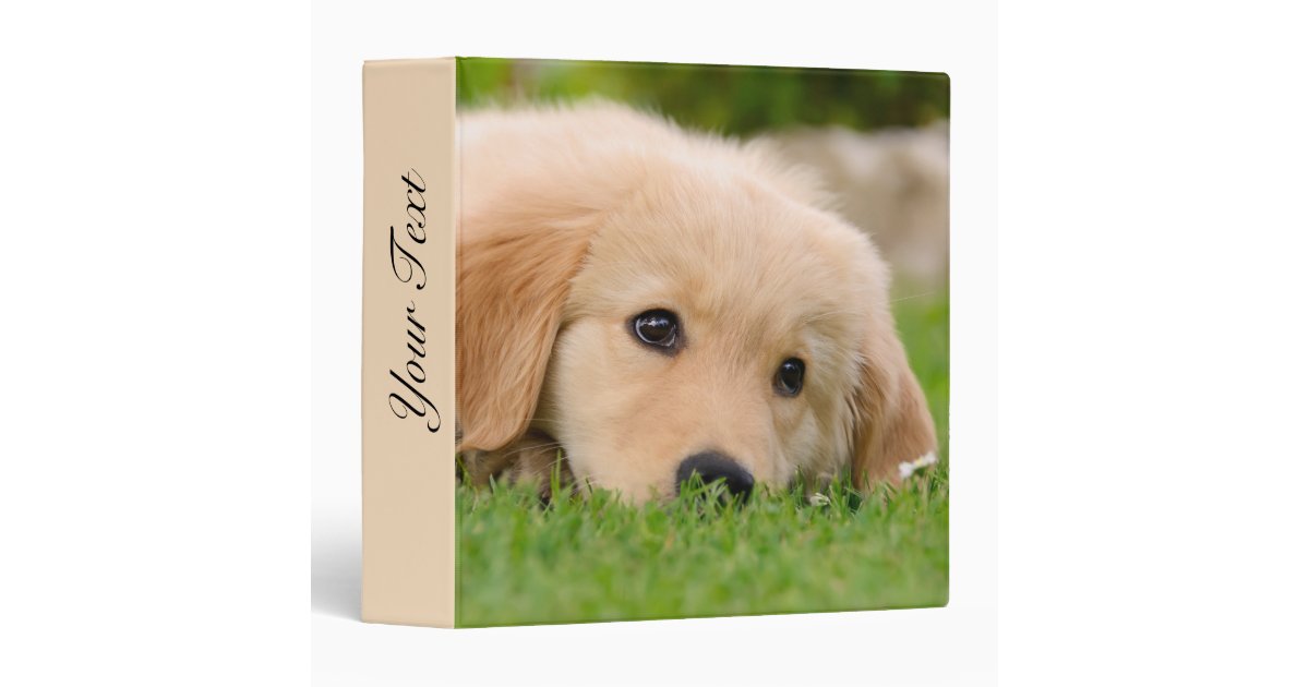 Golden Retriever Cute Puppy Dreams Dog Head Photo 3 Ring Binder | Zazzle