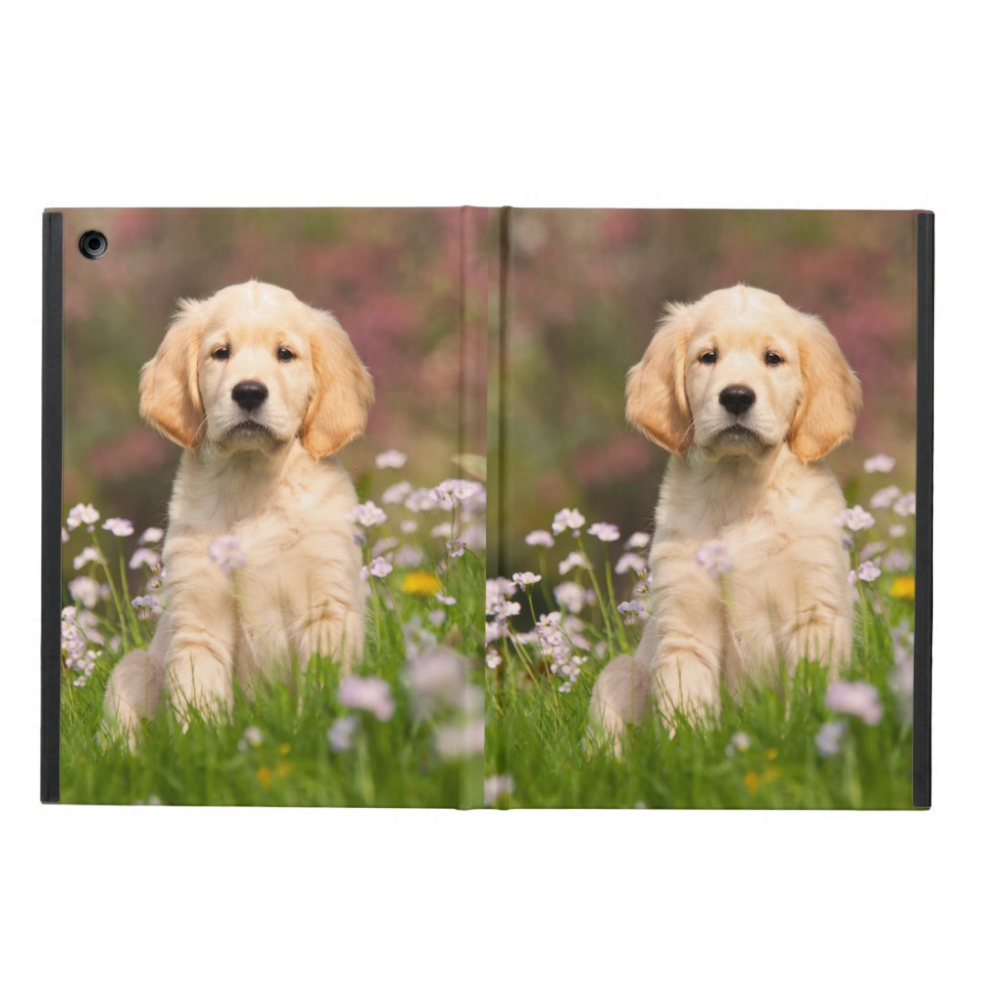 Golden Retriever Dog Cute Goldie Puppy, hard iPad Air Case | Zazzle