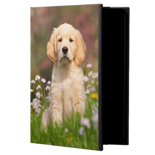 Golden Retriever Dog Cute Goldie Puppy, hard iPad Air Case | Zazzle