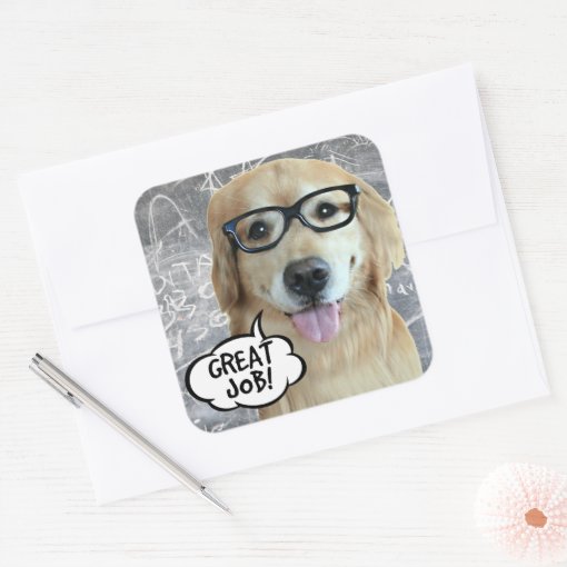 Golden Retriever Dog Great Job Teacher Reward Square Sticker | Zazzle