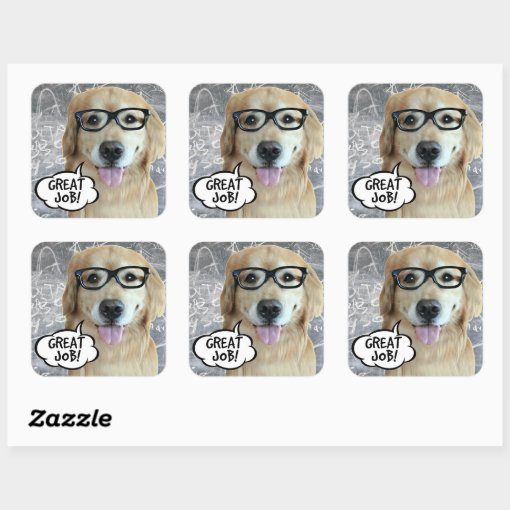 Golden Retriever Dog Great Job Teacher Reward Square Sticker | Zazzle