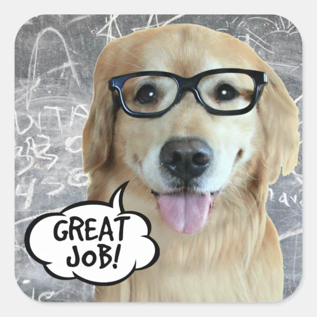 Golden Retriever Dog Great Job Teacher Reward Square Sticker | Zazzle