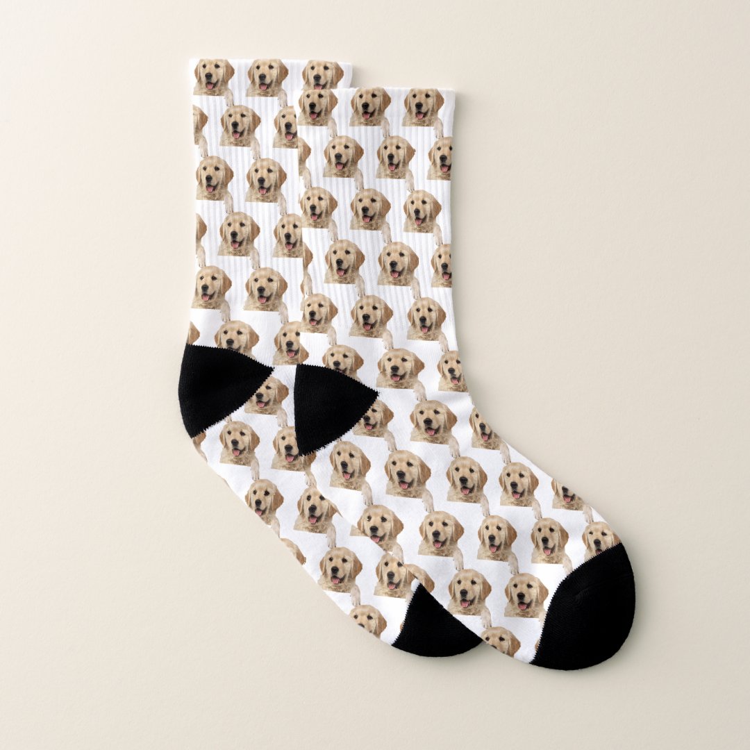 Golden Retriever Dog pattern Socks | Zazzle