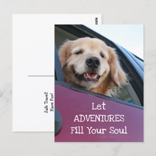 Golden Retriever Dog Safe Travel Adventures Postcard | Zazzle