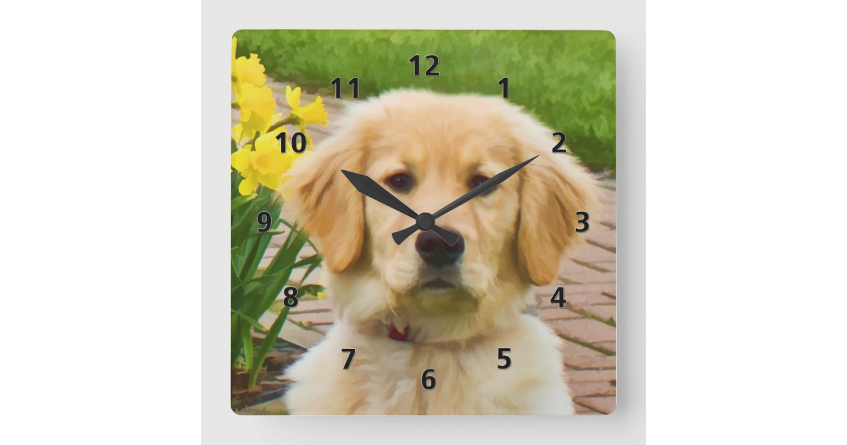 Golden Retriever Dog Square Wall Clock | Zazzle
