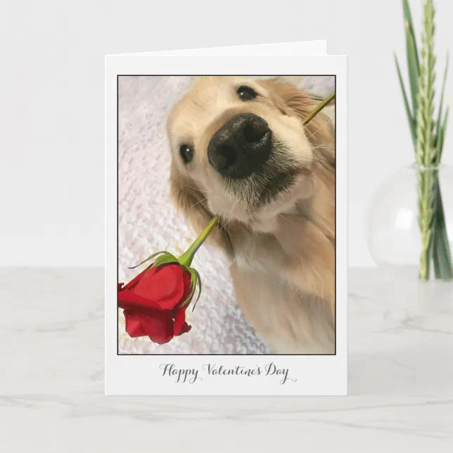 Golden Retriever Dog With Red Rose Valentine's Day Holiday Card | Zazzle