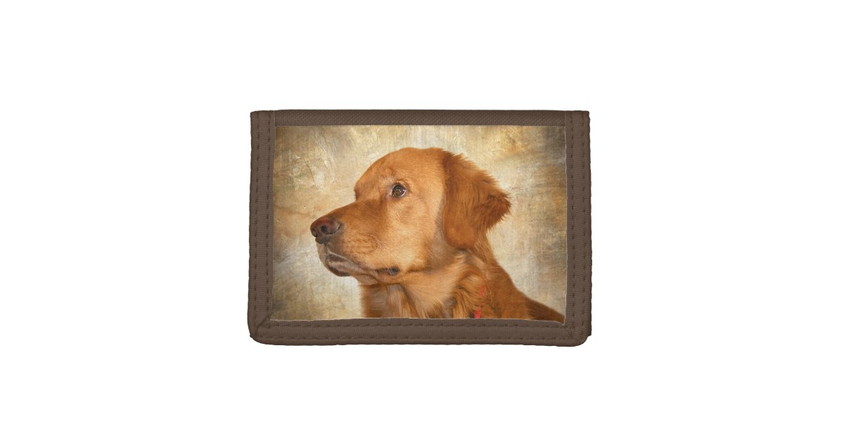 Golden Retriever face Trifold Wallet | Zazzle