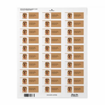 Golden Retriever Golden Lab Dog Address Labels | Zazzle