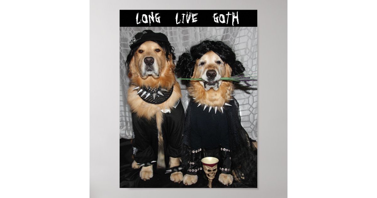 Golden Retriever Goth Style Poster | Zazzle
