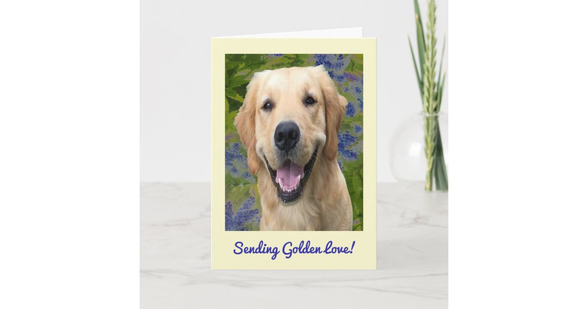 Golden Retriever Greeting Card | Zazzle