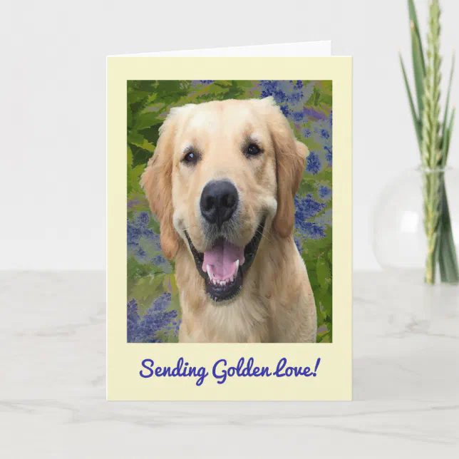 Golden Retriever Greeting Card | Zazzle