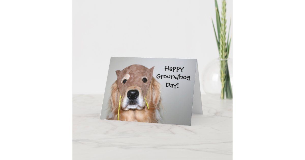 Golden Retriever Groundhog Day Card | Zazzle