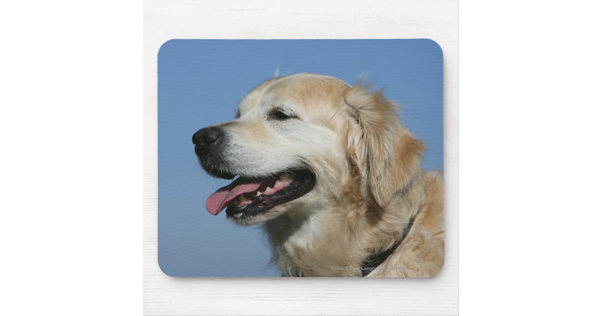 Golden Retriever Headshot 4 Mouse Pad | Zazzle