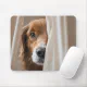 Golden Retriever In Curtain Mouse Pad | Zazzle