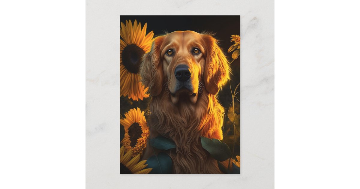 Golden Retriever in Sunflower Field - Postcard | Zazzle