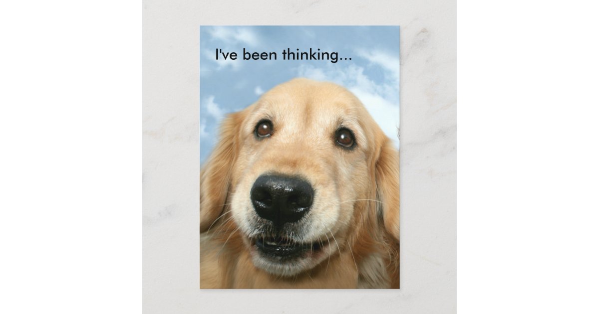 Golden Retriever I've Been Thinking Postcard | Zazzle