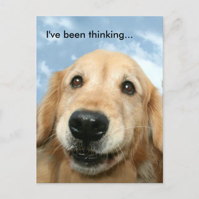 Golden Retriever I've Been Thinking Postcard | Zazzle
