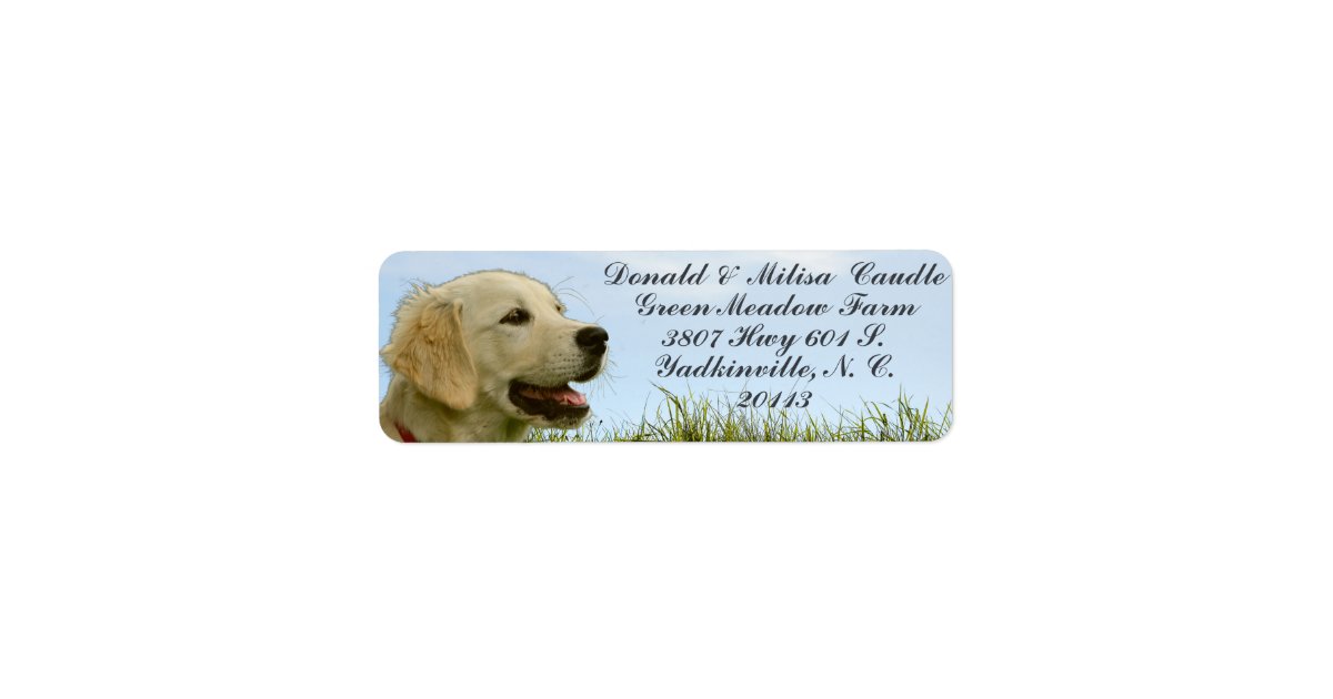 GOLDEN RETRIEVER LABEL | Zazzle